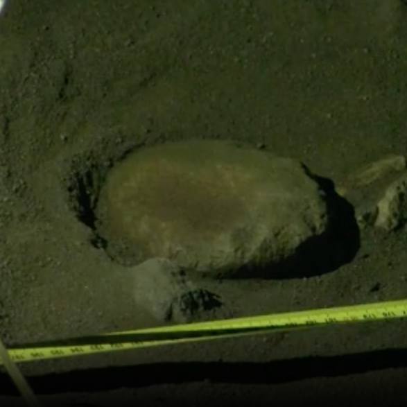 Aboriginal Cultural Timeline